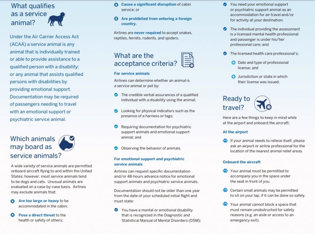 What Exactly is a Service Dog, and how to Travel With one ...